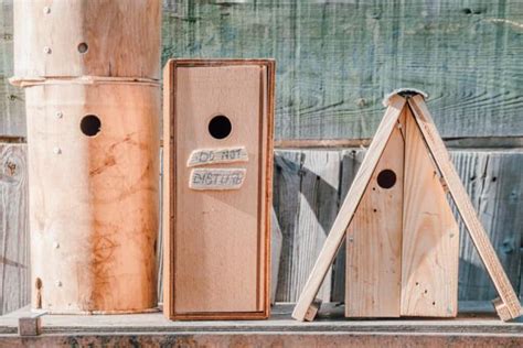 Nest Boxes For Greater Biodiversity City Of Brussels