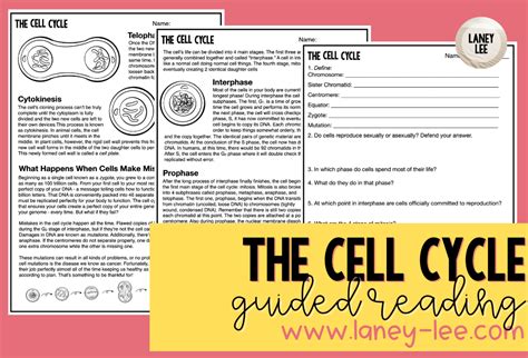 Mitosis Archives Laney Lee Worksheets Library