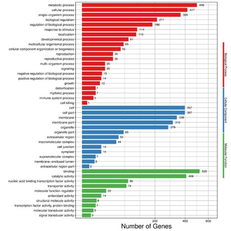 Bar Graph Of Differentially Expressed Gene Go Classification Note That