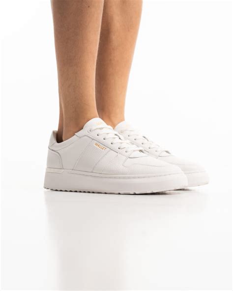 Mallet Hydraulics Stores