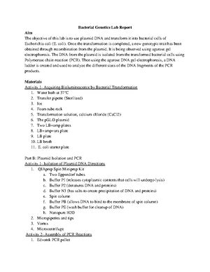 Unknown Bacteria Lab Report W BIO 215L Identification Of Unknown Bacteria Lab Aim The