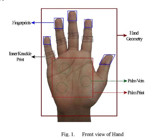 Figure 1 From Texture Based Palm Print Recognition Using 2 D Gabor Filter And Sub Space