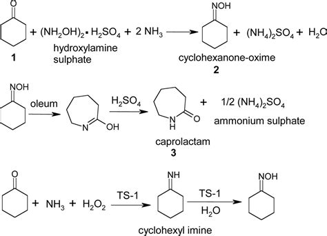 Design Of A Green” One Step Catalytic Production Of ε Caprolactam