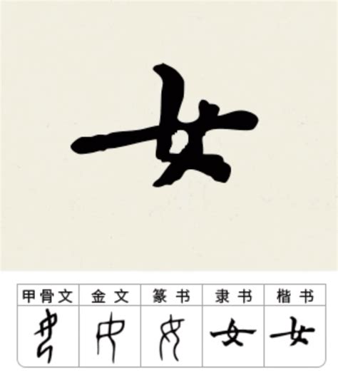 Discover The Transformation Of The Chinese Character For Woman 女 From