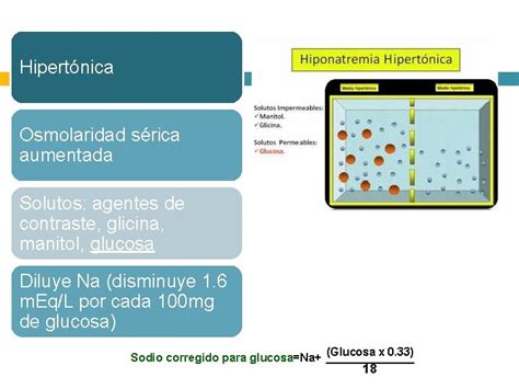 Hiponatremia E Hipernatremia Universidad Autnoma Del Estado De