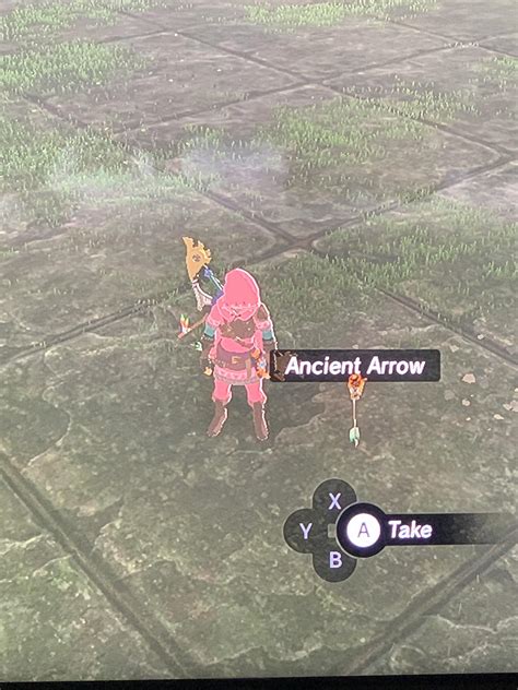 Collecting Ancient Arrows That Missed Their Targets R Botw