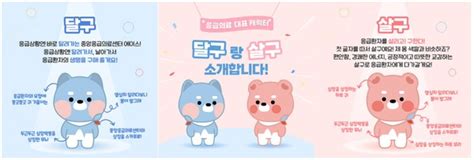 국립중앙의료원 중앙응급의료센터 마스코트 2종 개발