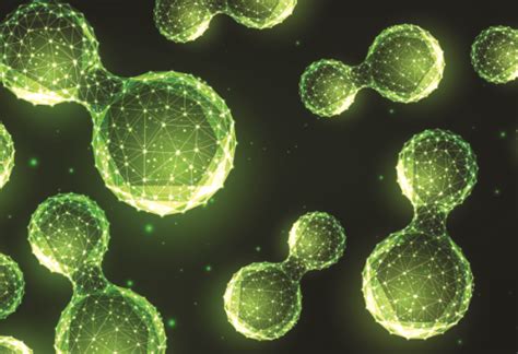 Green Hydrogen For Ocp A Strategic Boon LÉcole De Paris Du Management