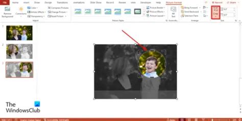 How To Crop To Shape Parts Of PowerPoint Slide