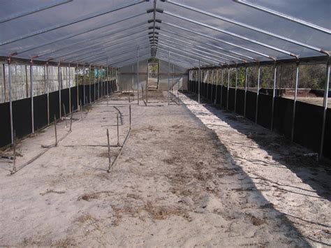The Nc Blueberry Journal Propagation Structures