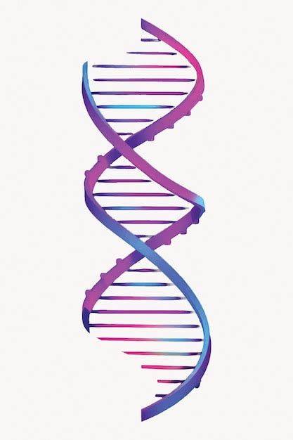 Premium Vector Colorful Dna Helix Illustration