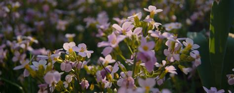 что то красивое в  ВКонтакте