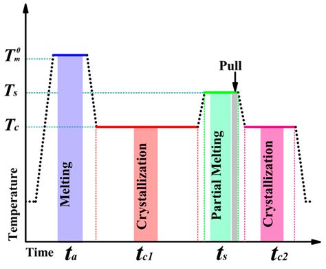 Polymers Free Full Text Investigation Of The Ordered Structure In Partially Melted Isotactic