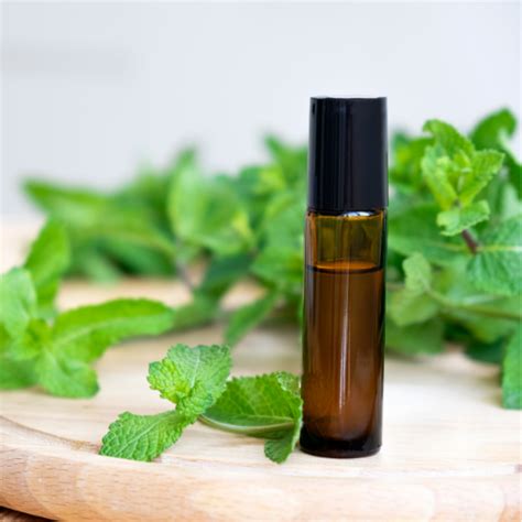 Melissa Essential Oil Ml Fun With Soap