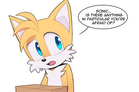 Tails Sonic Drawn By Toonsite Danbooru