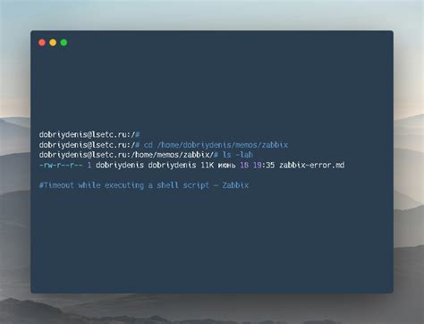 Timeout While Executing A Shell Script Zabbix