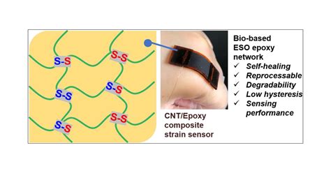 Self Healing Reprocessable And Degradable Bio Based Epoxy Elastomer