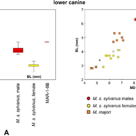 box and whisker plot a and biplot b comparing the md length and
