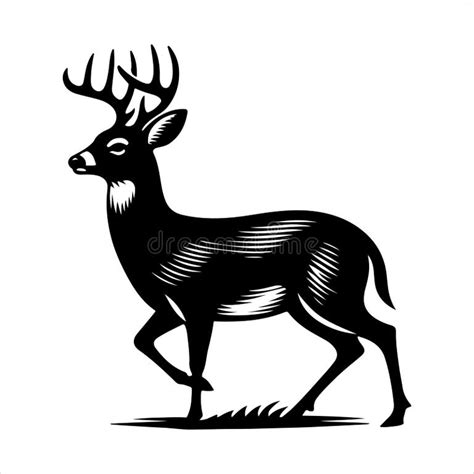 Vector Illustration White Tailed Deer Stock Illustrations 108 Vector Illustration White Tailed