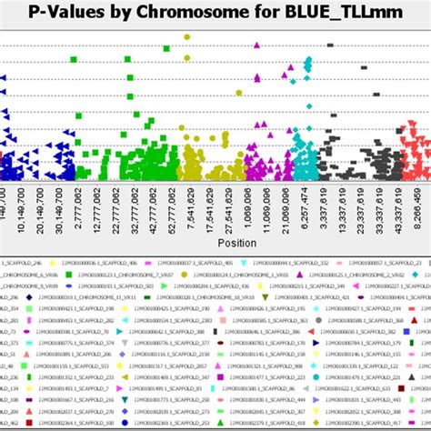 manhattan plots of − log10⁴ versus chromosomal position of snp markers