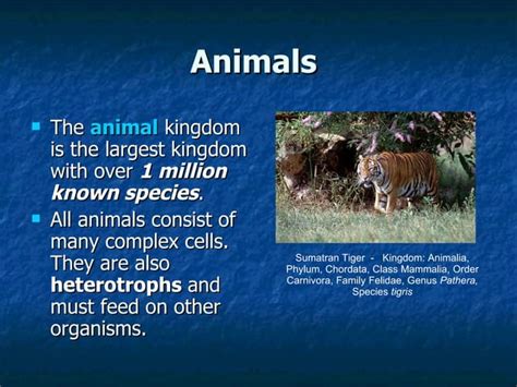 module 13 lesson 1 ppt biological sciences science