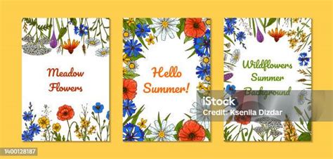야생화 식물학 디자인 세트 다채로운 손으로 그린 벡터 일러스트레이션 여름 배경 0명에 대한 스톡 벡터 아트 및 기타 이미지 0명 A4 용지 개체 그룹 Istock
