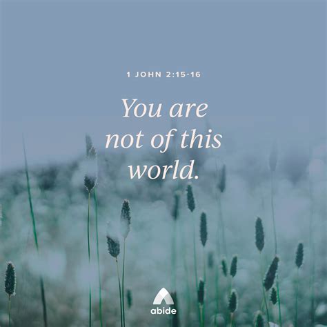 Live For Heaven 1 John 215 16 Abide