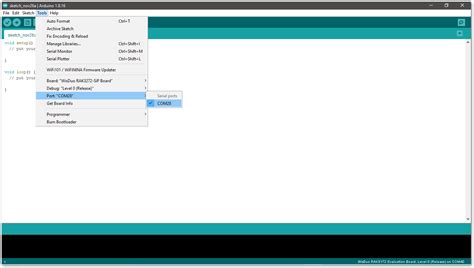 Rak3172 Sip Wisduo Lpwan Sip Quick Start Guide