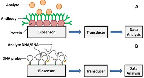 All About Sensors Biosensors 419