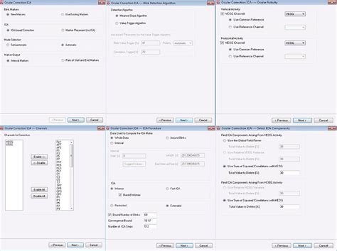 EEG Analysis CoDAP LAB