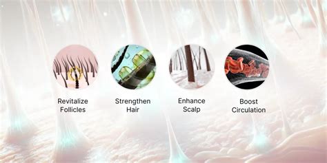 The 5 Best Peptides For Hair Growth In 2025 Sarmguide