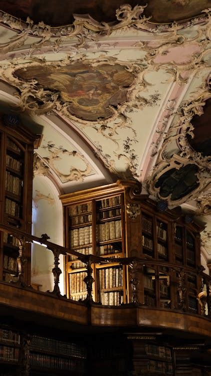 건축 골동품 공부하다 나무 낮은 각도 도서관 독서하는 돔 디자인 럭셔리한 로코코 매우 복잡한 문학 문화 문화 유산 문화적 바로크 박물관