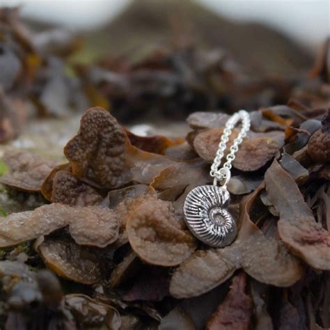 Ammonite Shell Necklace Something Silver
