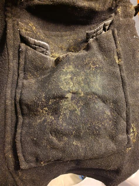 Is This Mold On My Jacket Rmold