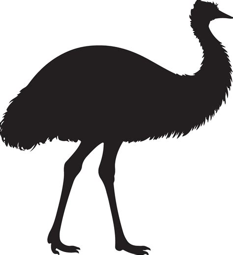 Emu Silhouette On Plain Field Wildlife Theme 71258161 Vector Art At