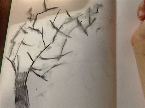 Highfields Academy Charcoal Trees