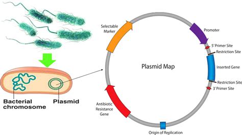 Essential Factors Advanced Strategies Challenges And Approaches Involved For Efficient