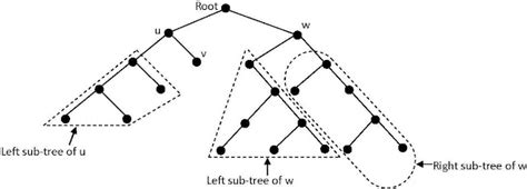 Computer Science Learners Binary Search Tree