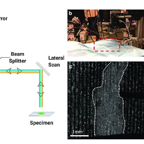 Optical Coherence Tomography And Elastography A Schematic Of Optical Download Scientific