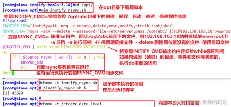 Rsync远程同步inotify 参数 Csdn博客