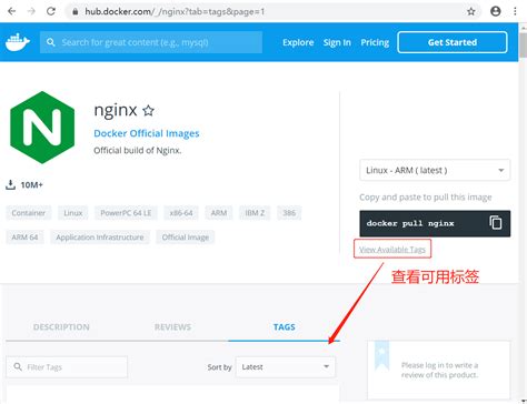 Docker 安装 Nginx 菜鸟教程