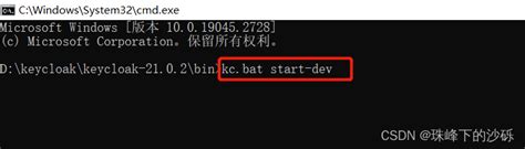 Keycloak下载与安装 Csdn博客