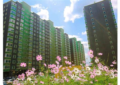 Содон Хорооллынхон Дүүрэн бар үр өдөр өнжүүлэх шинээр үүд хаалгаа нээлээ 🤩