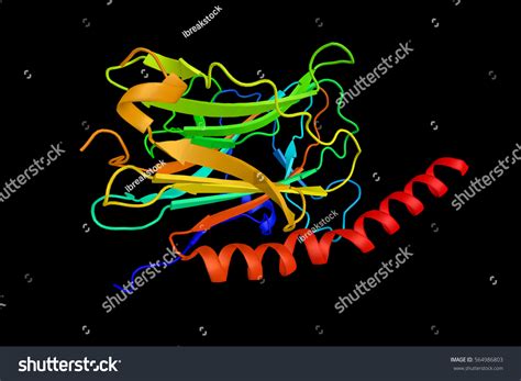 Calreful Over 1 Royalty Free Licensable Stock Illustrations And Drawings Shutterstock