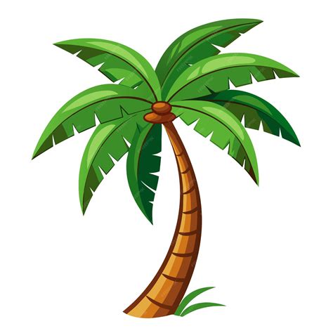 Tropical Palm Trees Clipart Cartoon Style Vector Illustration Premium