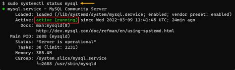 Install MySQL On Ubuntu Get Your Database Server Up And Running