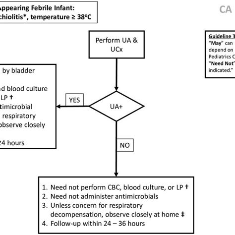 Ca First Algorithm For Low Risk Well Appearing Febrile Infants 22 60 Download Scientific