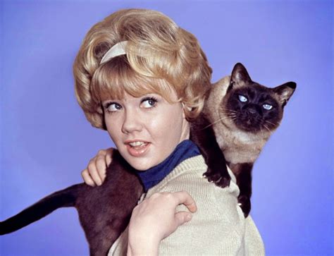 Slice Of Cheesecake Hayley Mills Pictorial