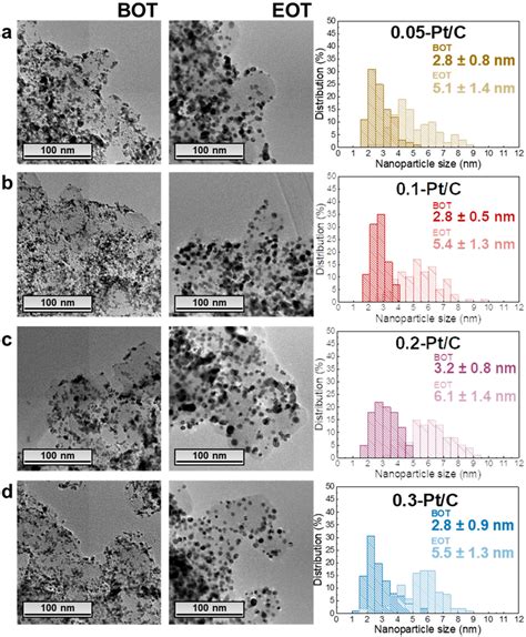 Representative Tem Images Corresponding Nanoparticle Size Distribution