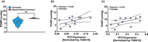 severity of pah correlates with lower tet2 and tet3 expression in